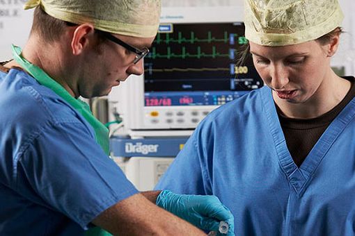 Healthcare Assistant