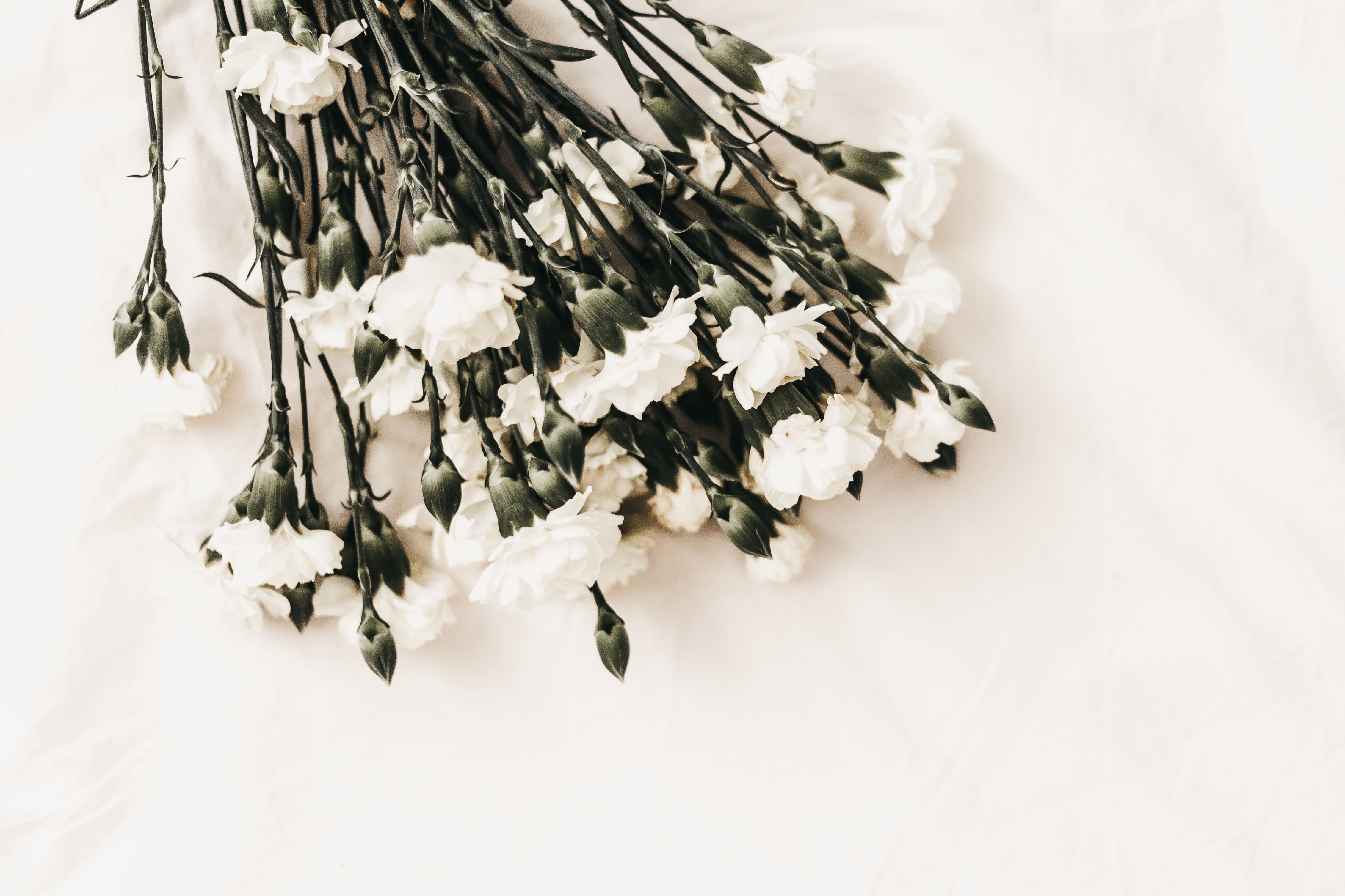 How to Plan a Virtual Funeral | Memories