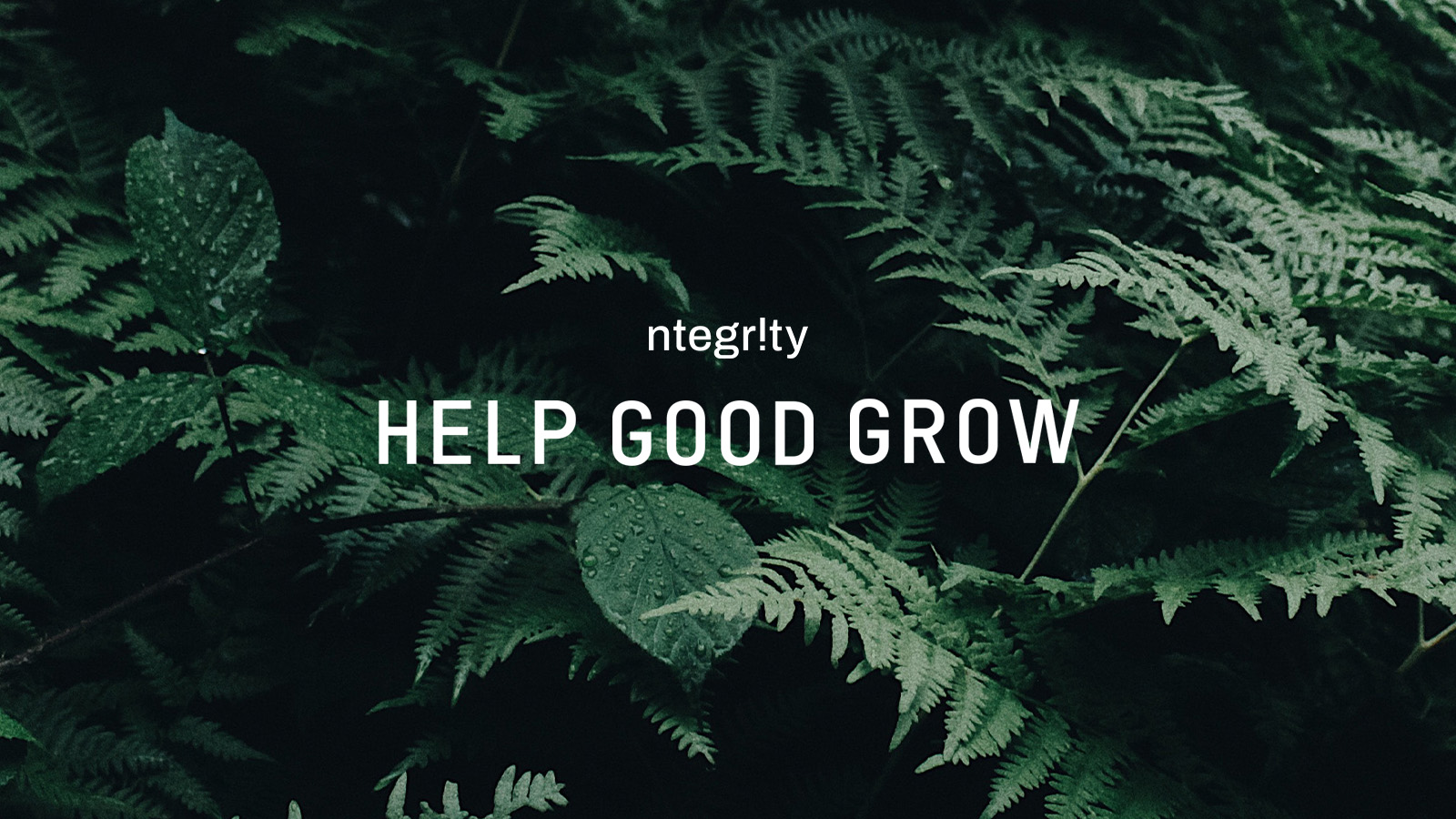 How we help good grow.