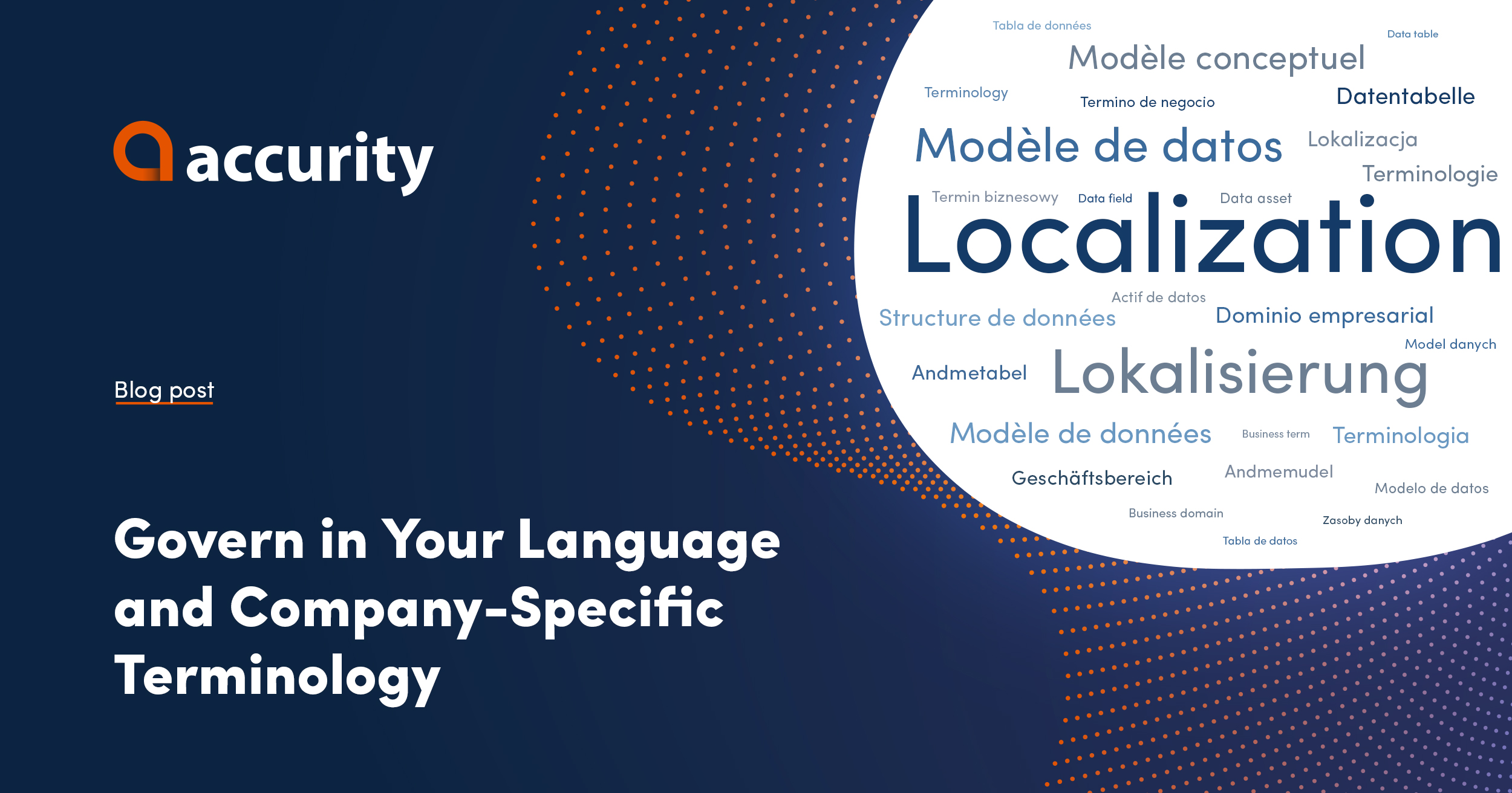 Accurity Localization & Terminology: Multilingual and Company Vocabulary Support