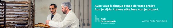 Financial Advisor (Part-time; French- or Dutch-speaking) – hub.brussels ...