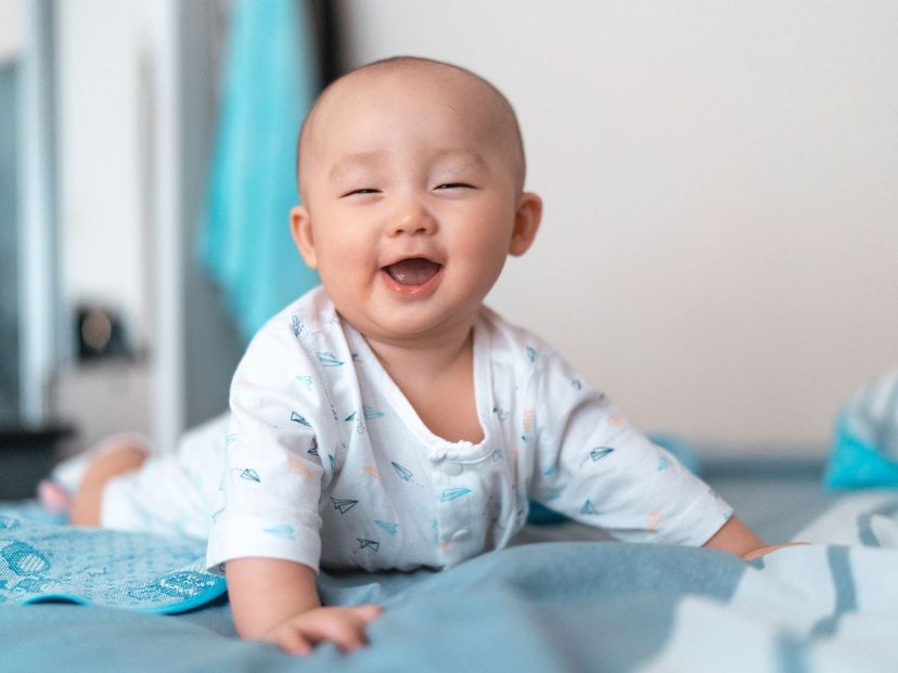 Gut To Have It: How Your Babies Gut Bacteria Aid In Their…