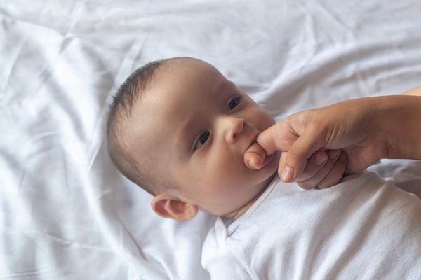 Important Things You Need To Know About Teethers