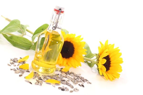 The Many Uses and Benefits of Sunflower Oil