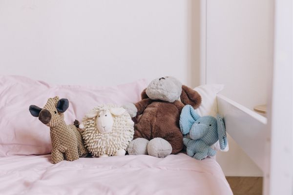 Did You Know These Things About Your Child’s Stuffed Toy?