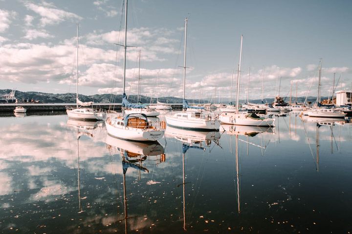 6 reasons to visit Wellington: the coolest little capital in the world ...