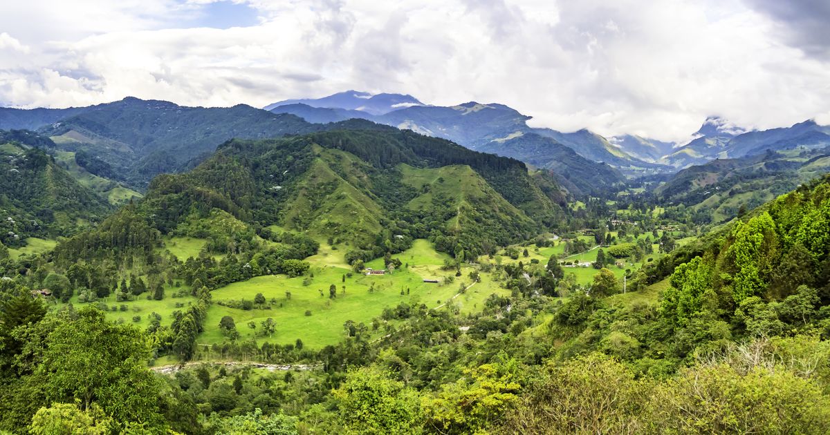 The Cocora Valley, Colombia: hiking, wildlife and incredible views ...