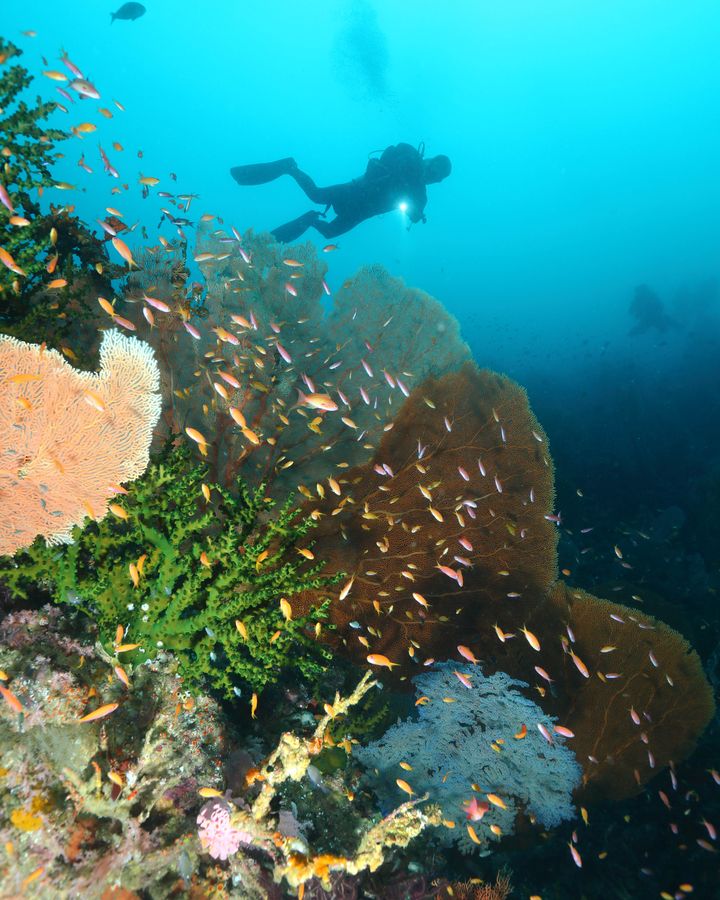 Discovering Pulau Weh: beaches, hiking and unforgettable diving ...
