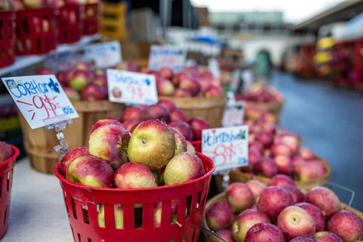 Six typical foods to try in Montreal | Faraway Worlds