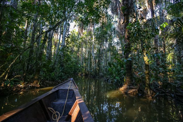 Puerto Maldonado and the Amazon Rainforest | Faraway Worlds