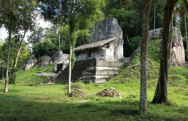 Tikal: the Mayan city lost in the jungle | Faraway Worlds