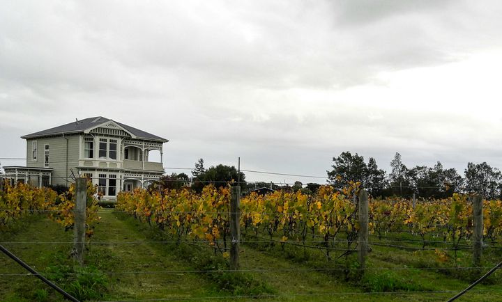 Discover Martinborough: vineyards, food and nature | Faraway Worlds