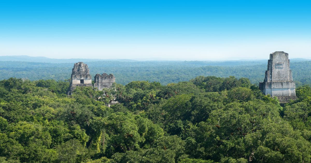 Tikal: the Mayan city lost in the jungle | Faraway Worlds
