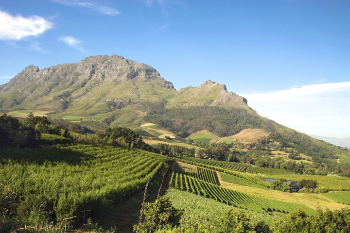 Discover the Cape Winelands, South Africa | Faraway Worlds