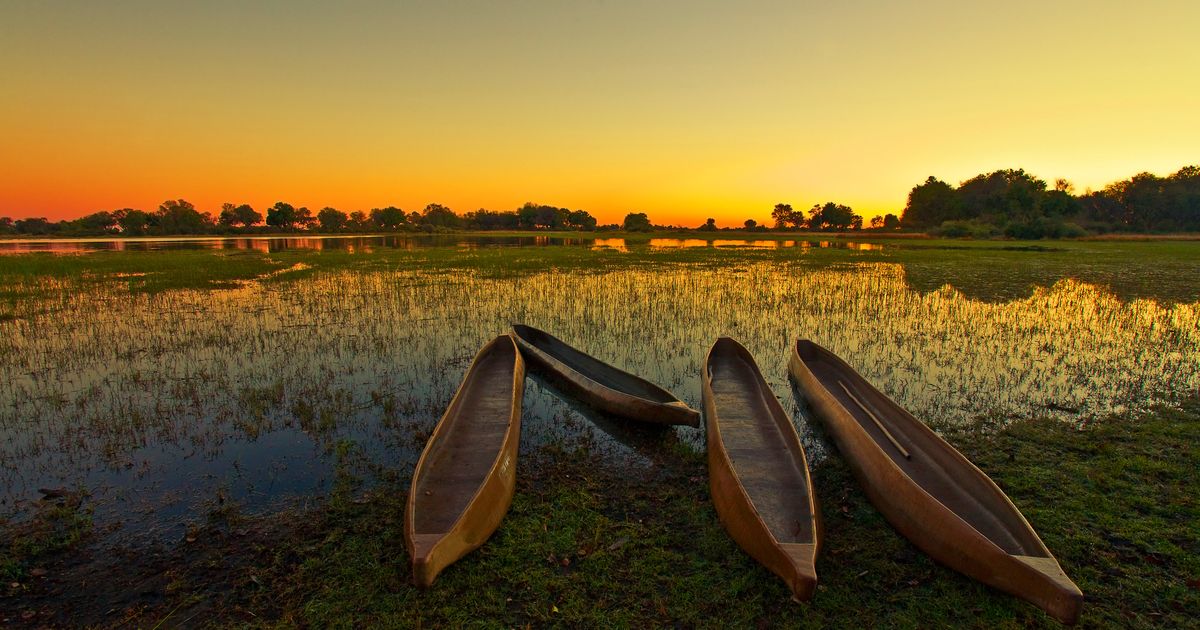 Maun, Botswana: wildlife, safaris and local crafts | Faraway Worlds