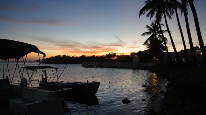 Discovering bioluminescent bays in Puerto Rico | Faraway Worlds