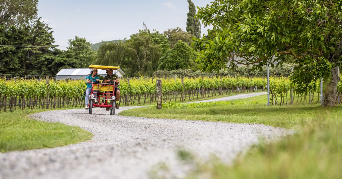 Discover Martinborough: vineyards, food and nature | Faraway Worlds