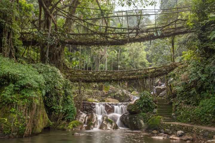 Discovering India's remarkable living bridges | Faraway Worlds