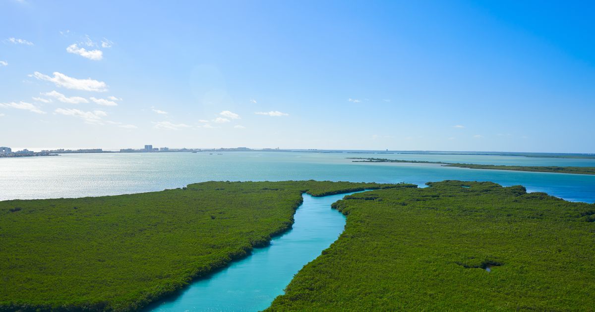 Exploring Nichupte Lagoon in Cancun | Faraway Worlds